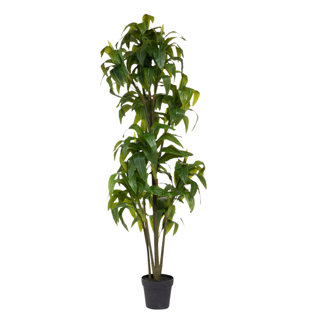 Store planter - Roggens